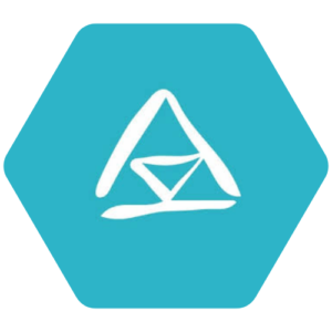 cubemos - ESRS Services