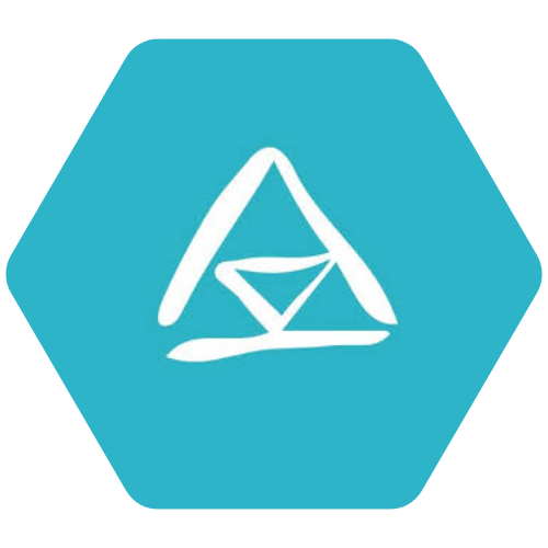 CONSUST - ESRS Services