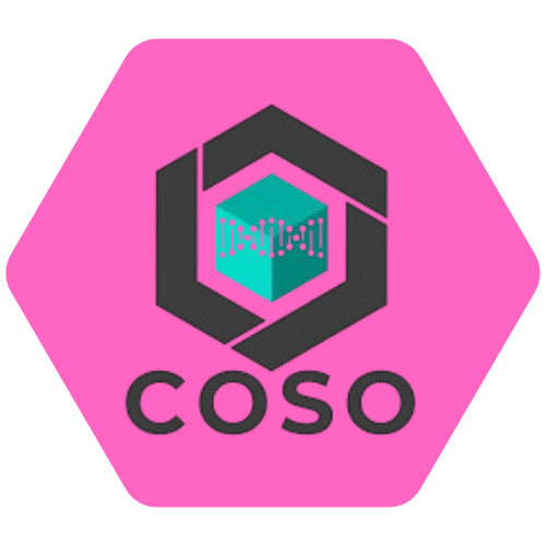Compliance risk management: Applying the COSO ERM framwork - ESRS Services