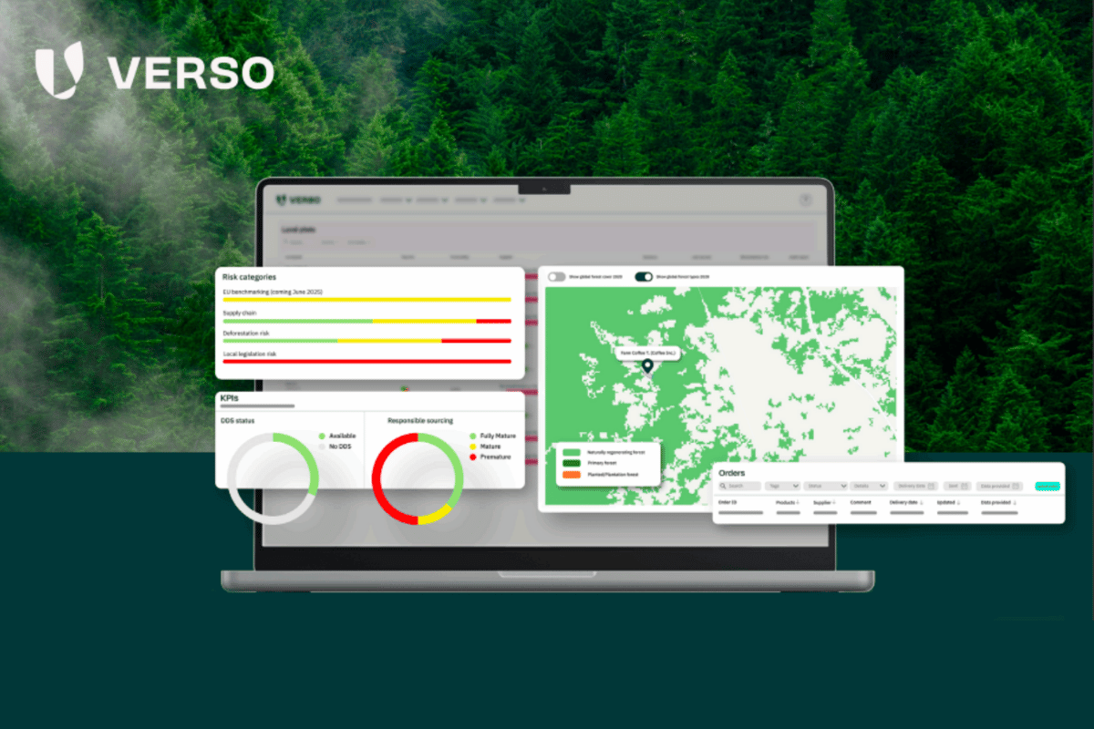 VERSO - ESRS Services